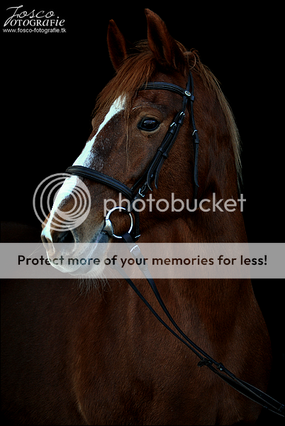 Karolien voor de lens • Bokt.nl