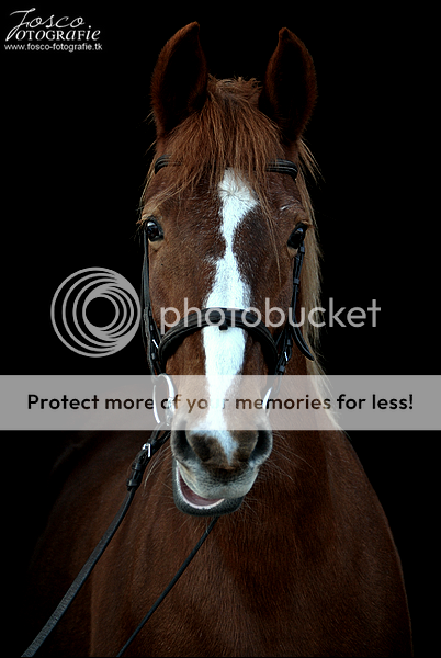 Karolien voor de lens • Bokt.nl