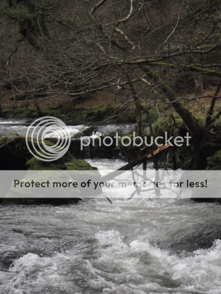 River Walkham - Bedford bridge to Tavy Confluence - Page 3 - The UK ...