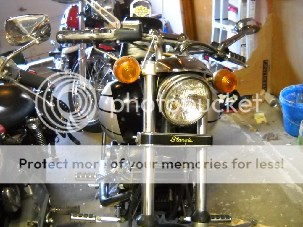 Yup..you guessed it...another new member | Jockey Journal Forum